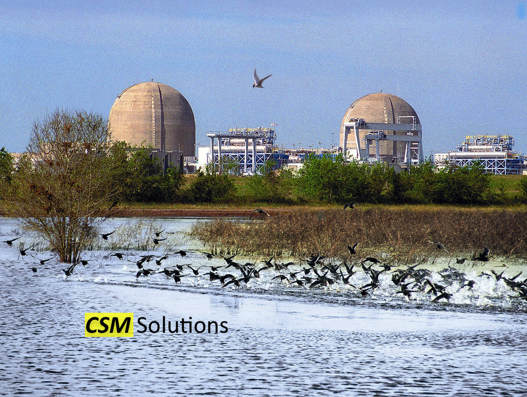 CSM Solutions – REAL-TIME™ System